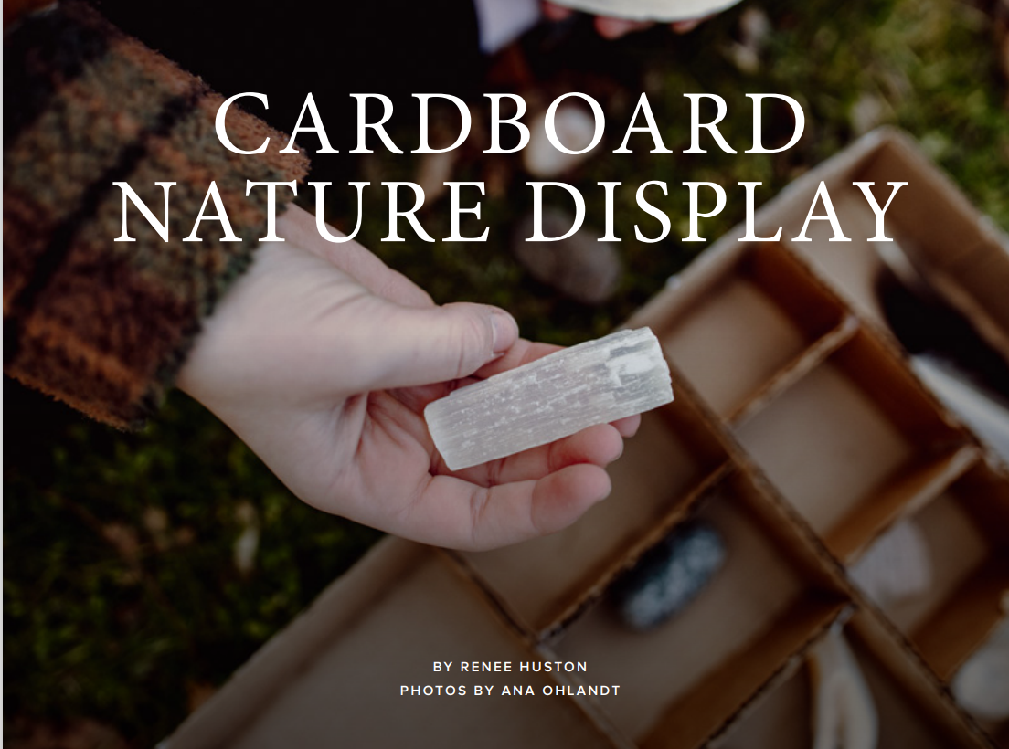 Creating a Cardboard Nature Display With Your Children | Renee Huston